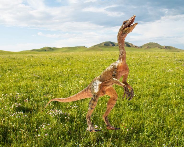 Here’s The Procompsognathus, A Small But Mighty Dino