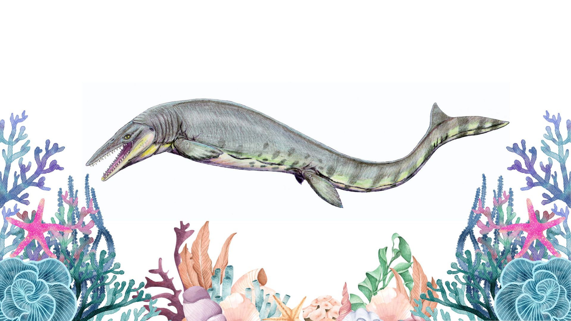Check Out The Tylosaurus, A Marine Reptile | Dino Digest