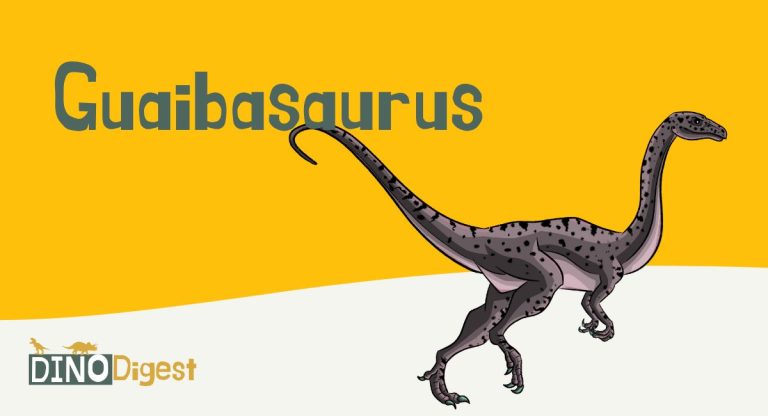 Uncover The Mysterious Guaibasaurus | Dino Digest