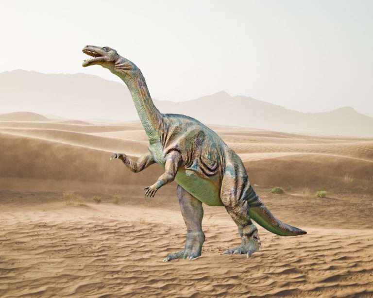 Exploring The Ancient Plateosaurus | Dino Digest