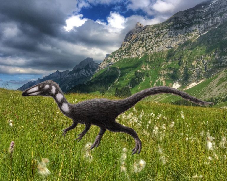 Here’s The Procompsognathus, A Small But Mighty Dino