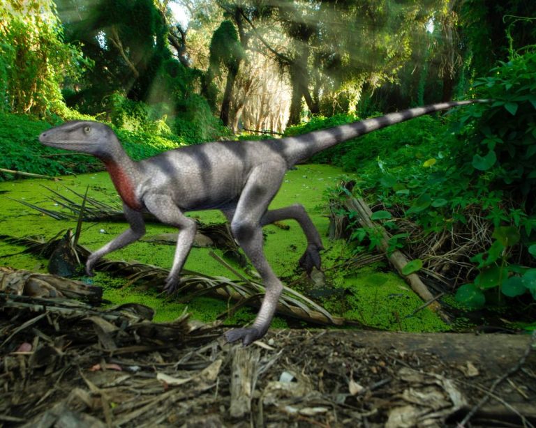 Uncovering The Saltopus, A Surprisingly Common Dino