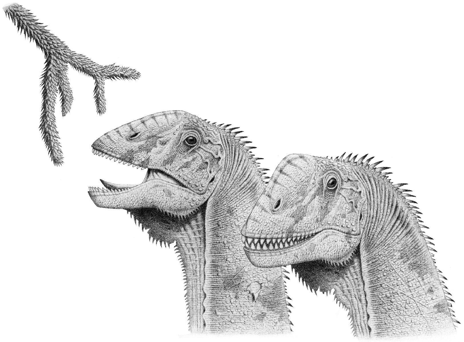 Exploring The Long-Necked Euhelopus | Dino Digest