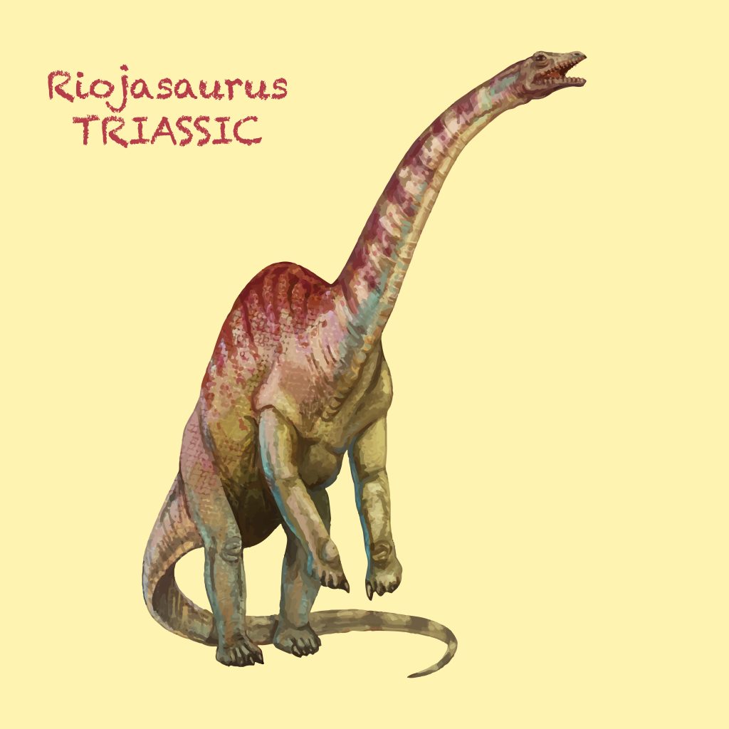 Explore The Riojasaurus, An Early Plant-Eater | Dino Digest
