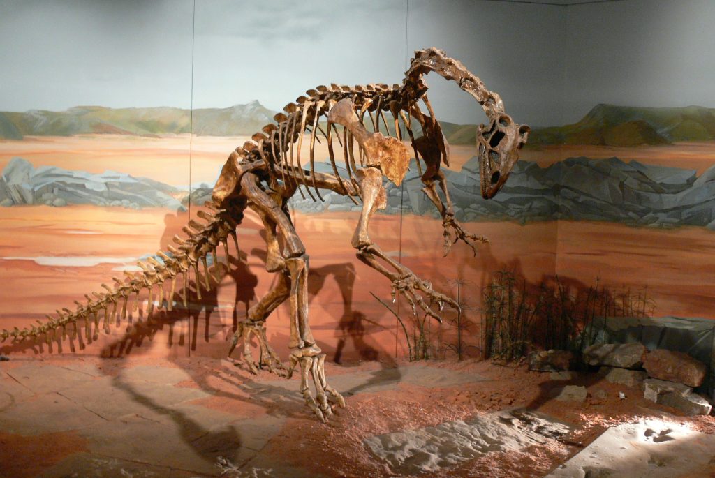 Check Out The Smile On That Thecodontosaurus! | Dino Digest