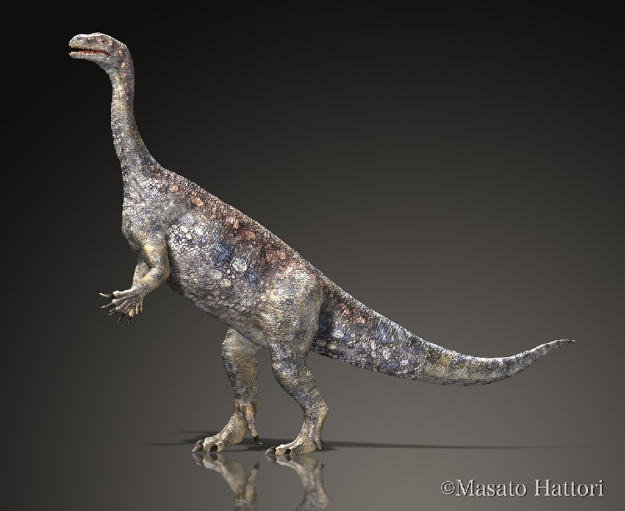 Discover The Unaysaurus, A Black Water Lizard | Dino Digest