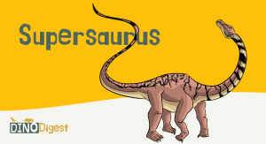 Let's Examine The Stupendous Supersaurus, A Super Lizard