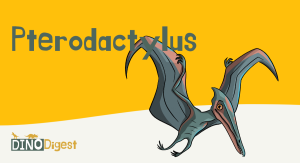 Meet The Pterodactylus, A Flying Reptile | Dino Digest