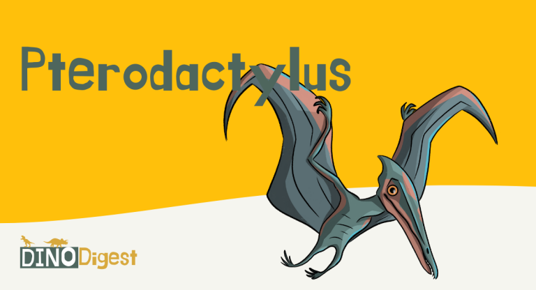 Meet The Pterodactylus, A Flying Reptile | Dino Digest
