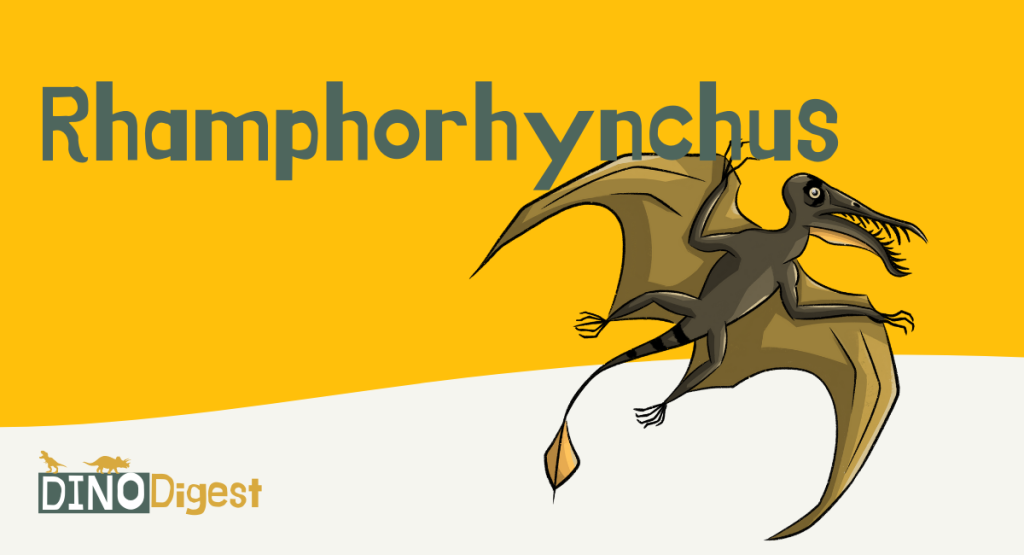 Check Out The Long-Tailed Rhamphorhynchus | Dino Digest