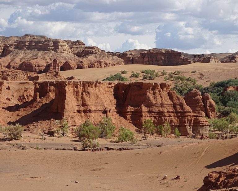 Explore The Horned Saichania | Dino Digest