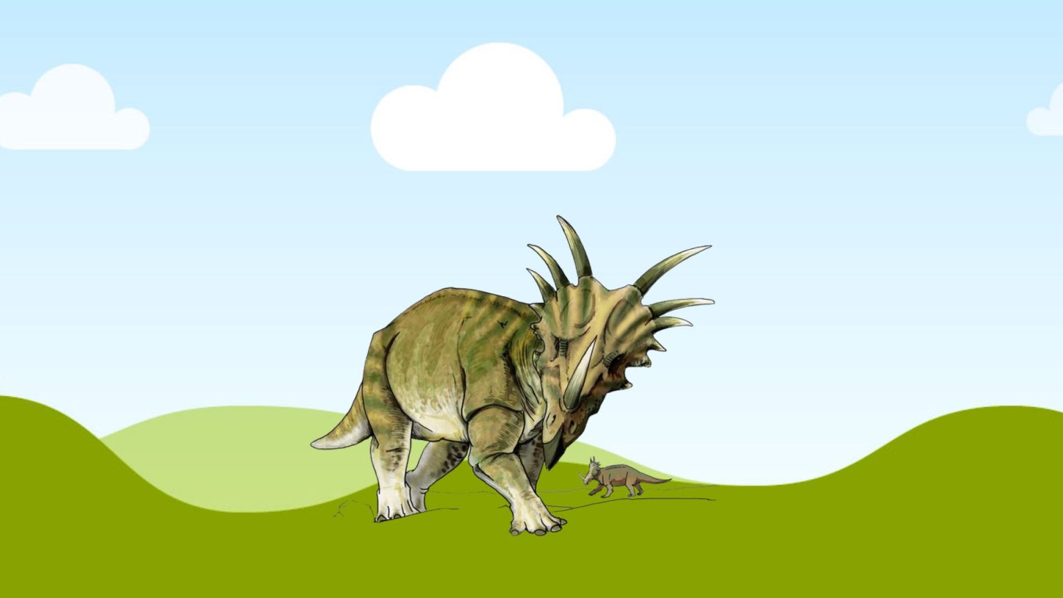 Explore The Styracosaurus And Its Dome Skull! | Dino Digest