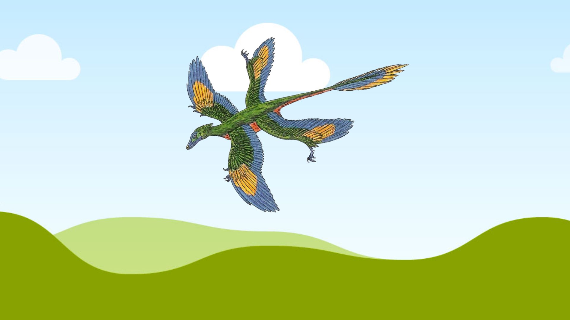 It's A Microraptor With Four Wings! | Dino Digest