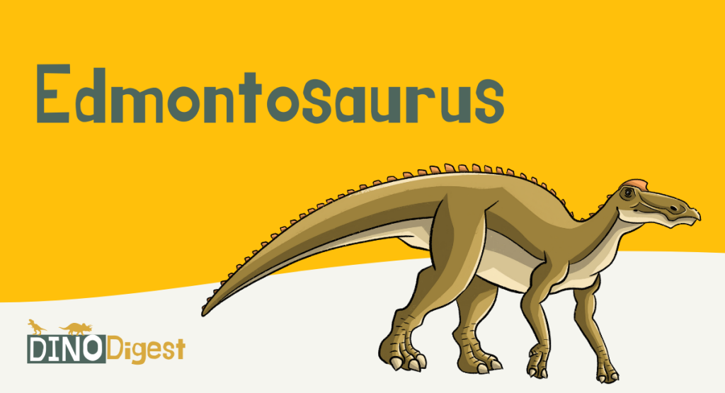 Here’s The Duck-Billed Edmontosaurus | Dino Digest