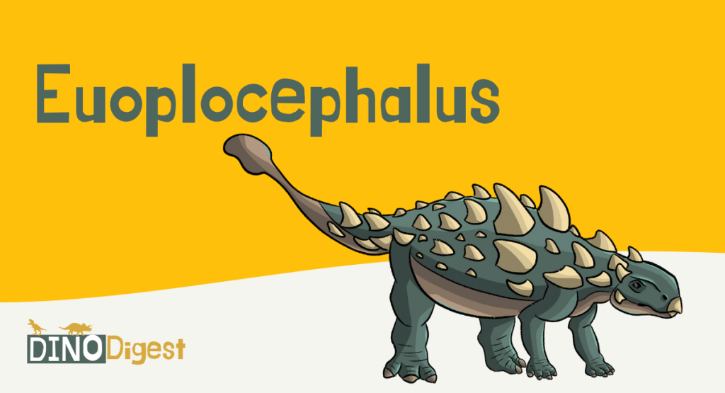 Check Out The Euoplocephalus And Its Mighty Tail!