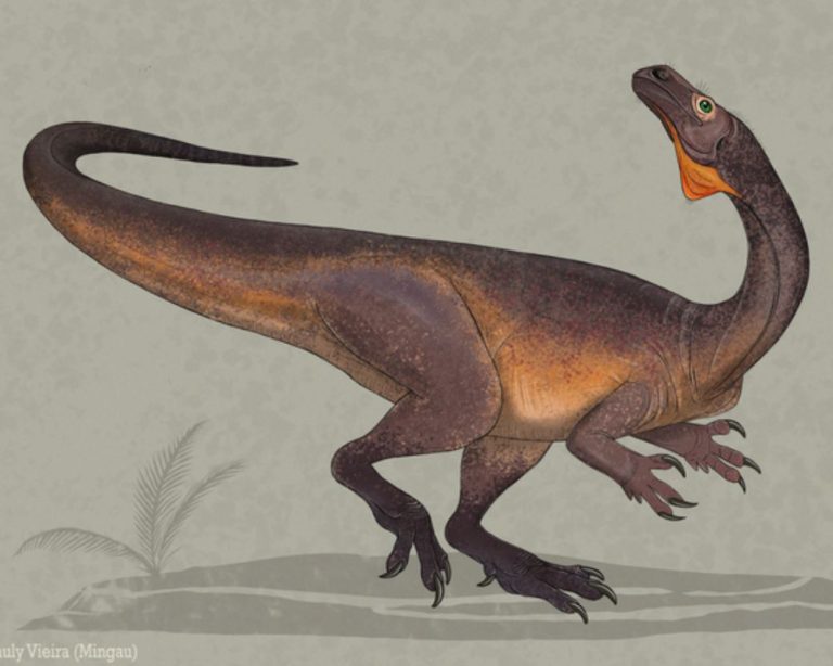 Uncover The Mysterious Guaibasaurus | Dino Digest