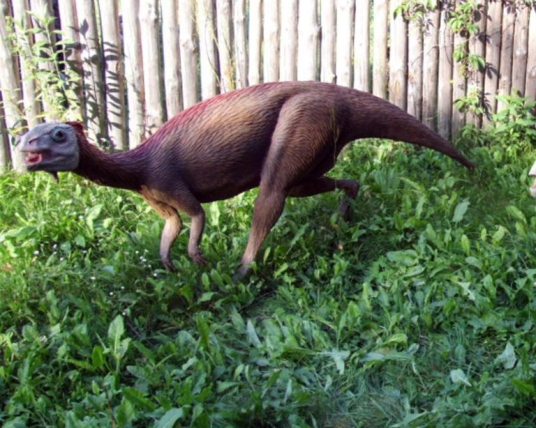 Here's The Dryosaurus, A Tree Lizard | Dino Digest