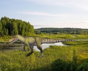 Uncovering The Torvosaurus, A Savage Lizard | Dino Digest