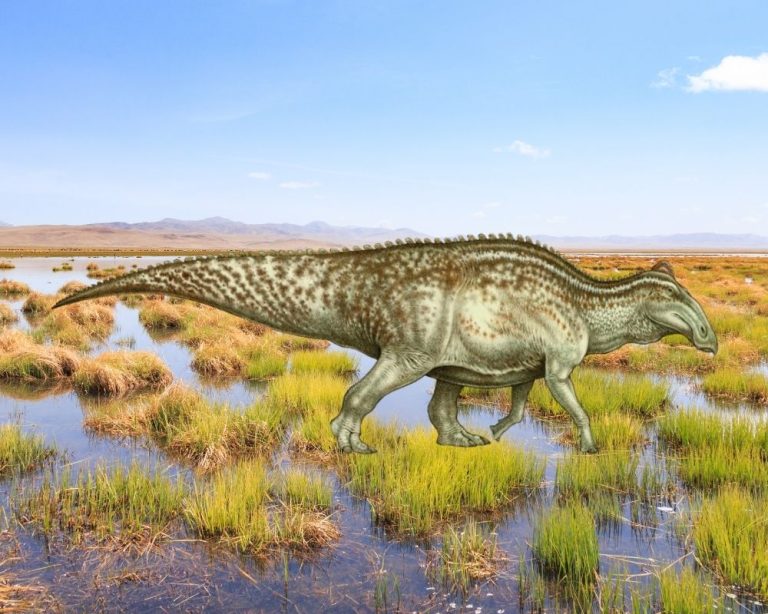 Here’s The Duck-Billed Edmontosaurus | Dino Digest