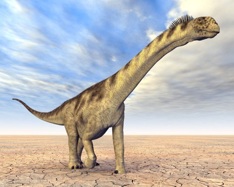 Stegosaurus: The Roof Lizard With A Spiked Tail