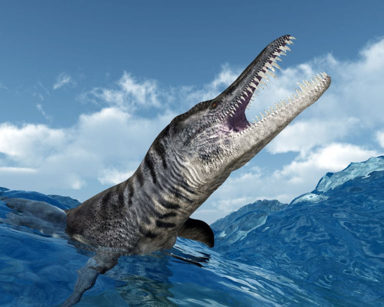 Seeking Out The Liopleurodon In The Jurassic Seas