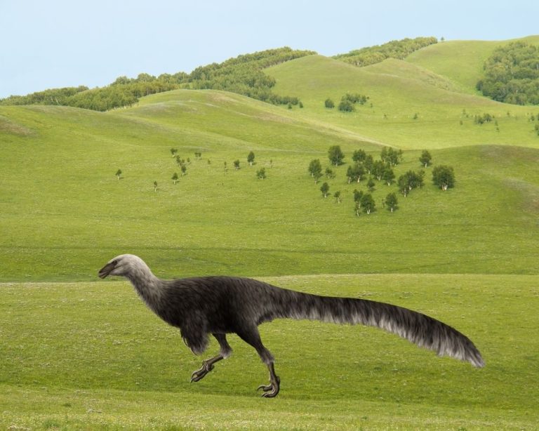 Explore The Ornitholestes, A Robber Dino | Dino Digest