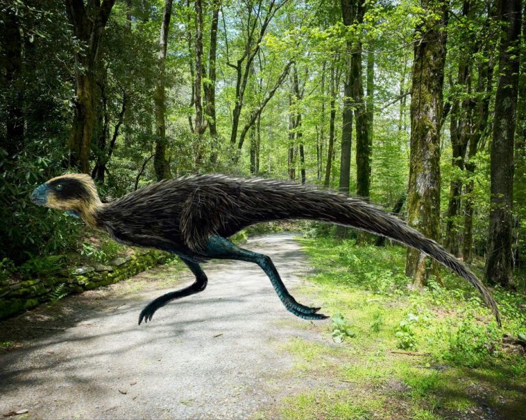 Check Out The Bird-Like Pisanosaurus | Dino Digest