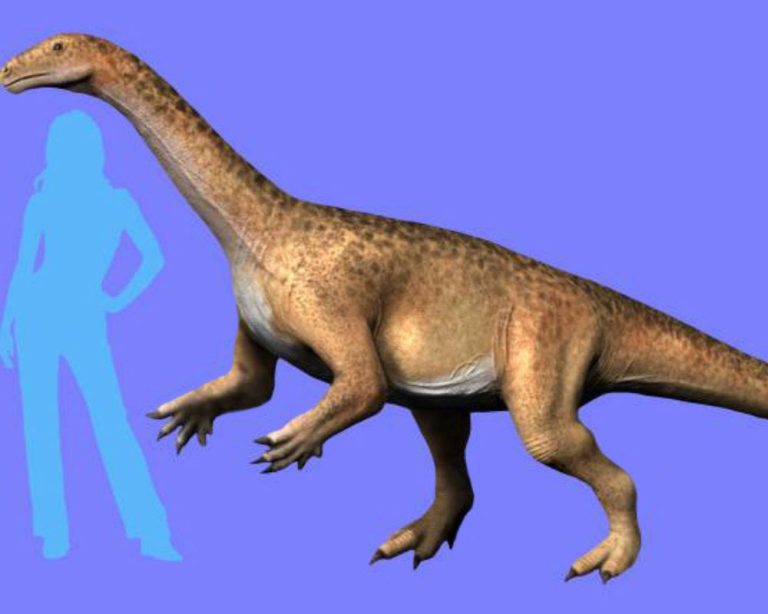 Explore The Riojasaurus, An Early Plant-Eater | Dino Digest