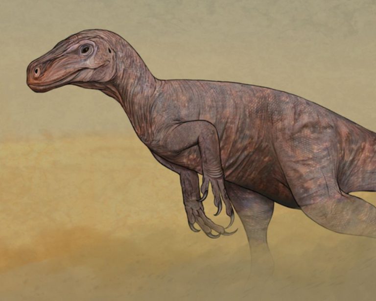 Here’s The Ferocious Staurikosaurus! | Dino Digest