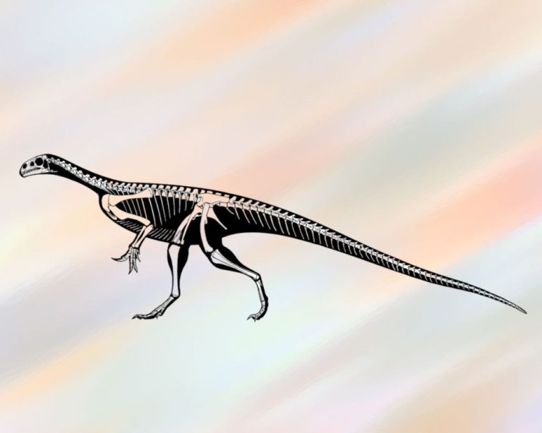 Check Out The Smile On That Thecodontosaurus! | Dino Digest