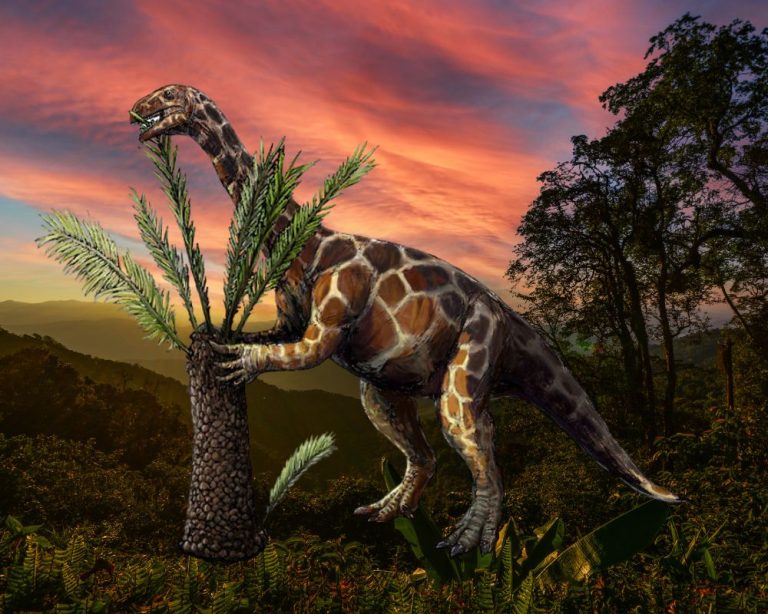 Discover The Unaysaurus, A Black Water Lizard | Dino Digest