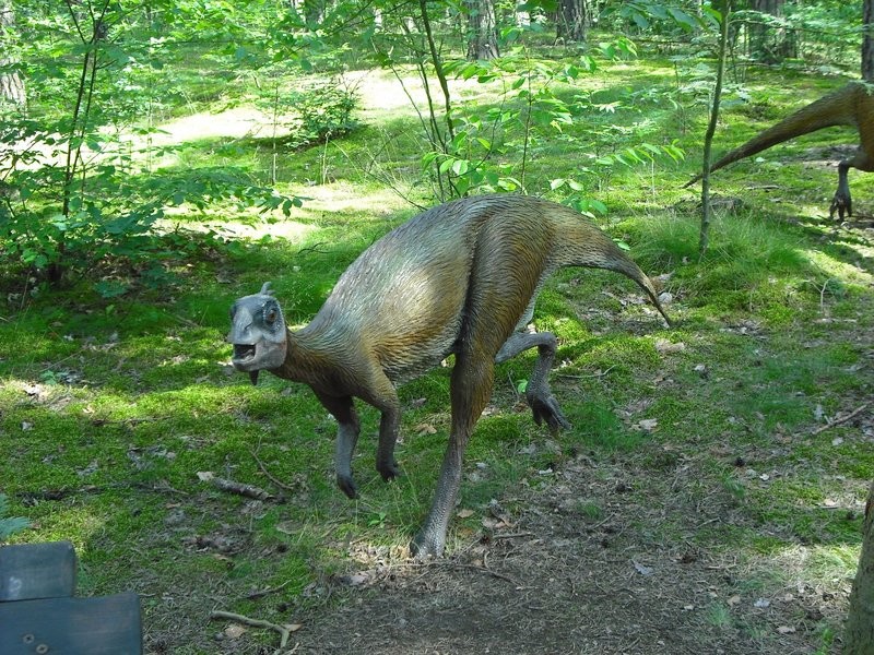 Here's The Dryosaurus, A Tree Lizard | Dino Digest