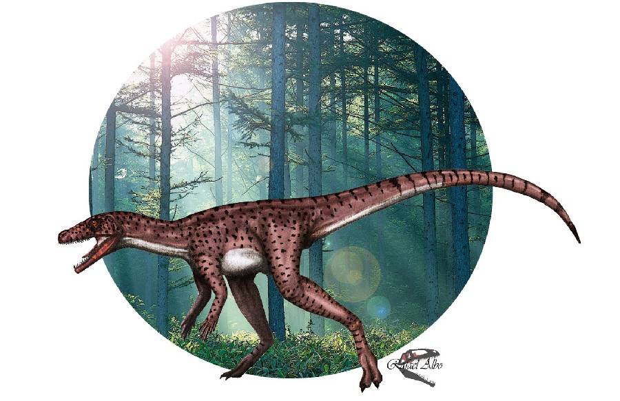 Uncover The Mysterious Guaibasaurus | Dino Digest