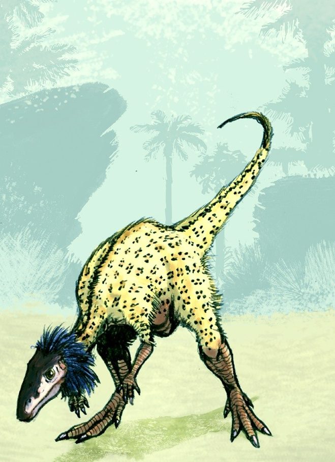 Uncover The Mysterious Guaibasaurus | Dino Digest