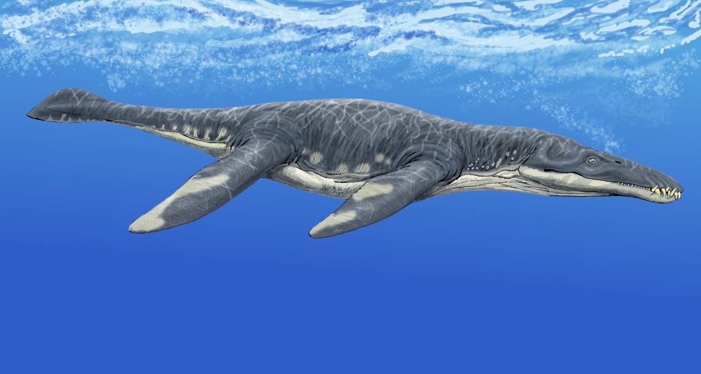 Seeking Out The Liopleurodon In The Jurassic Seas