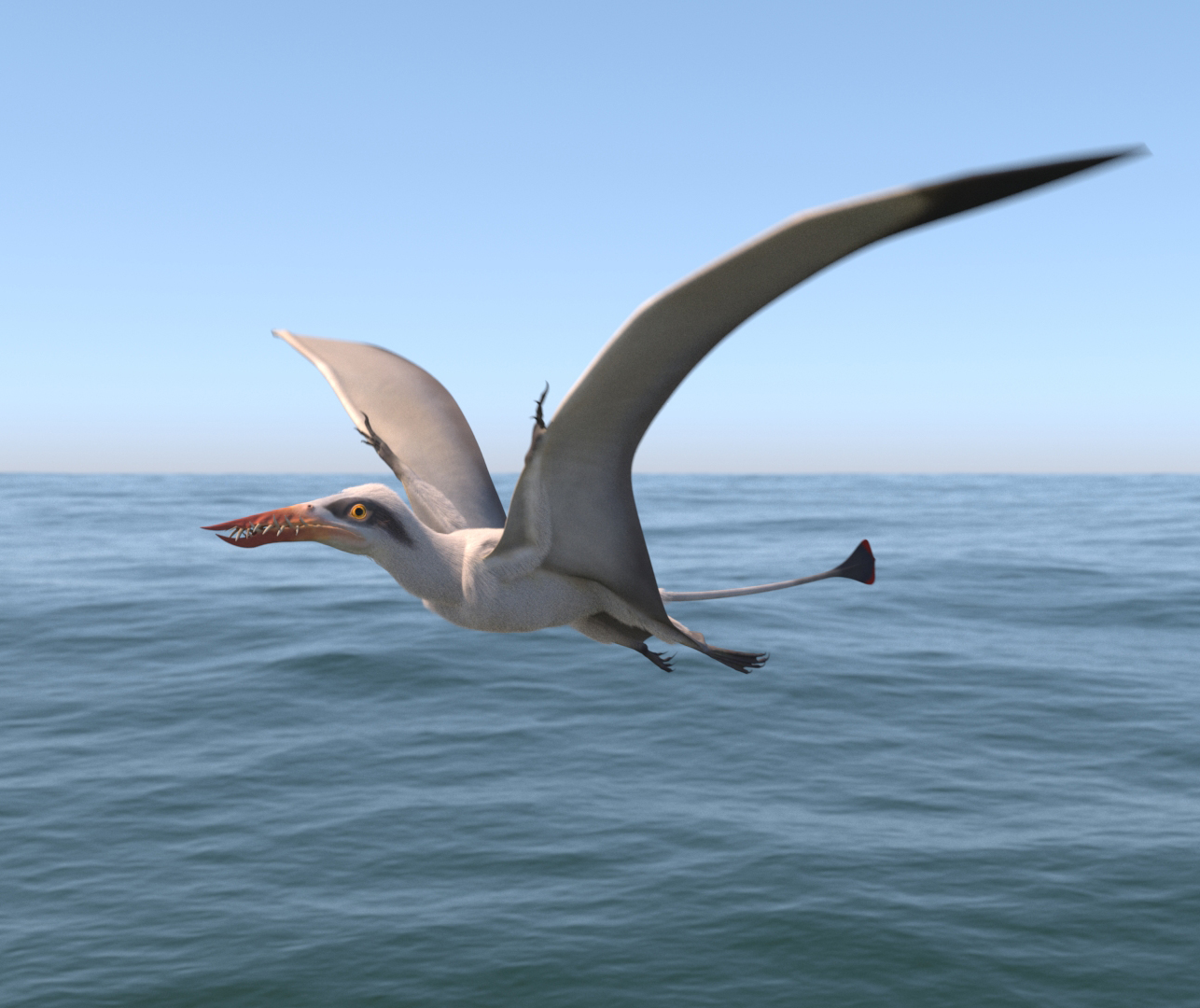 Check Out The Long-Tailed Rhamphorhynchus | Dino Digest