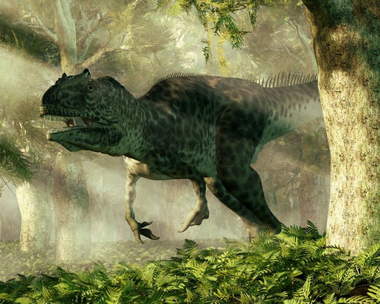 Allosaurus Vs. Yutyrannus: Two Therapods At War