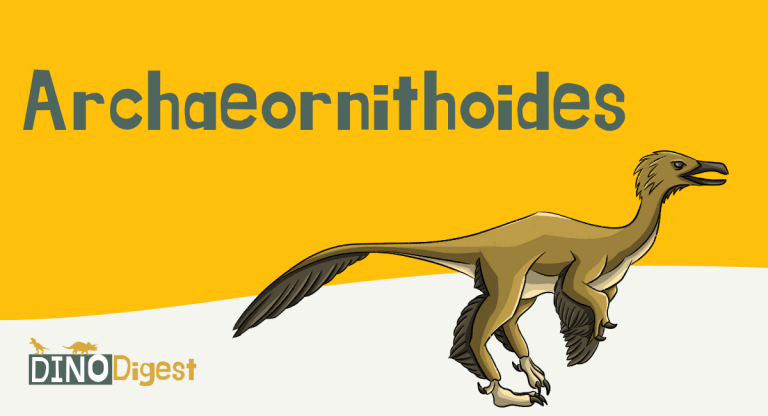 Discover The Mystery Of The Archaeornithoides | Dino Digest