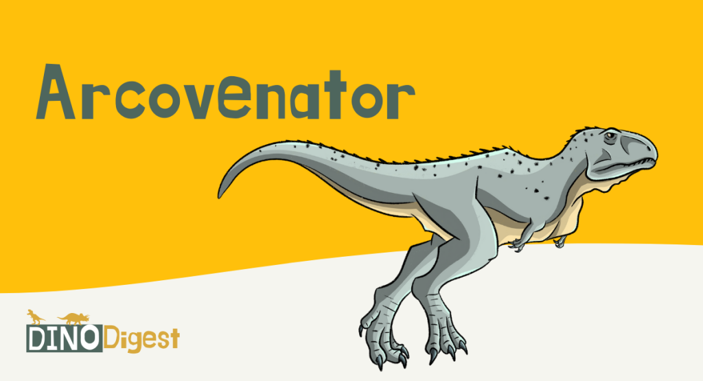 Check Out The Arcovenator, A French Hunter | Dino Digest
