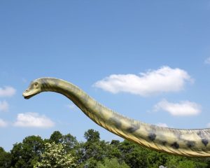 Brontosaurus, The Massive Sauropod | Dino Digest