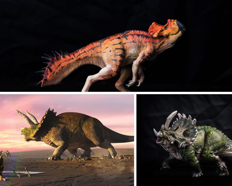 Explore The Horn-Faced Ceratopsians | Dino Digest