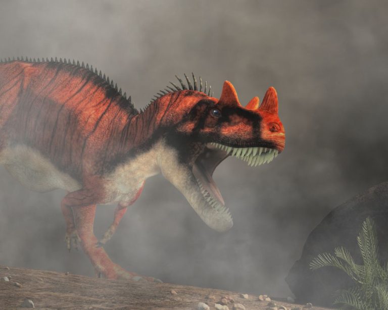 Carnotaurus Vs. Ceratosaurus: A Battle Of Unique Strengths