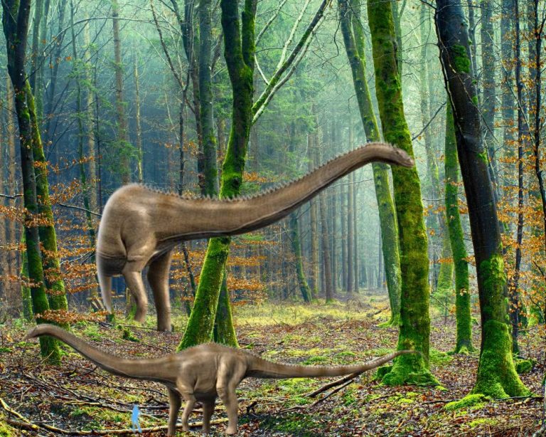 Let's Examine The Stupendous Supersaurus, A Super Lizard