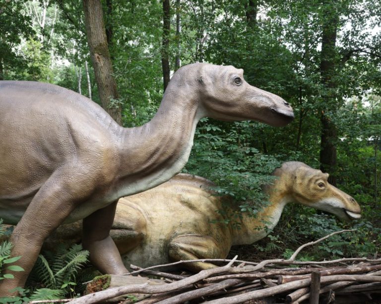 Meet The Maiasaura, A Good Mother Lizard | Dino Digest