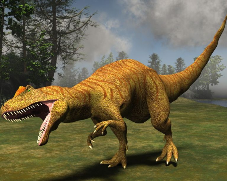 Styracosaurus Vs. Allosaurus: Horns And Claws | Dino Digest