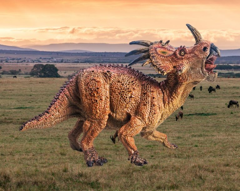 Styracosaurus Vs. Allosaurus: Horns And Claws | Dino Digest