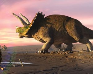 Torosaurus: One Of The Largest Horned Dinosaurs