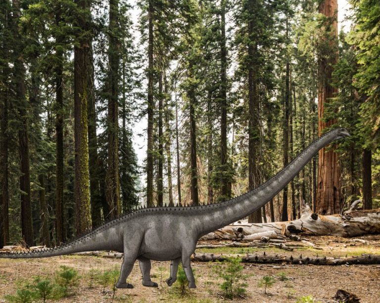 Let's Examine The Stupendous Supersaurus, A Super Lizard