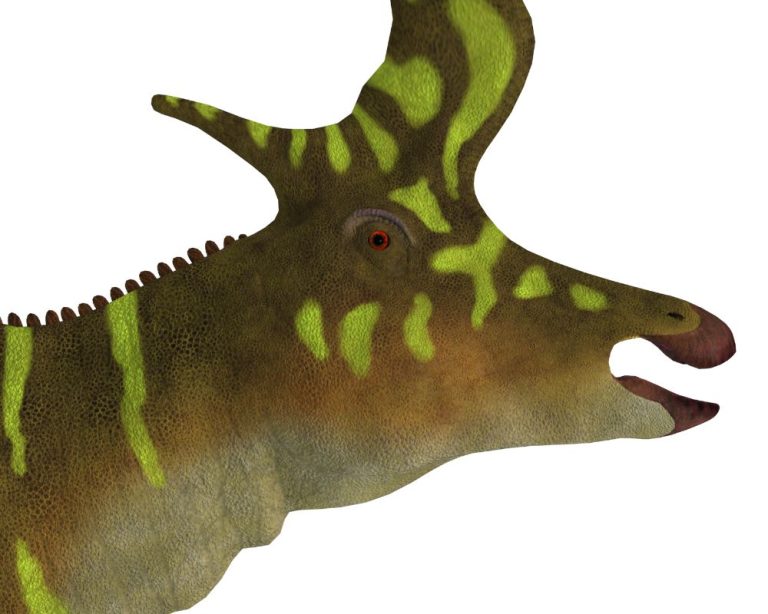 Here's The Lambeosaurus With A Cranial Crest | Dino Digest