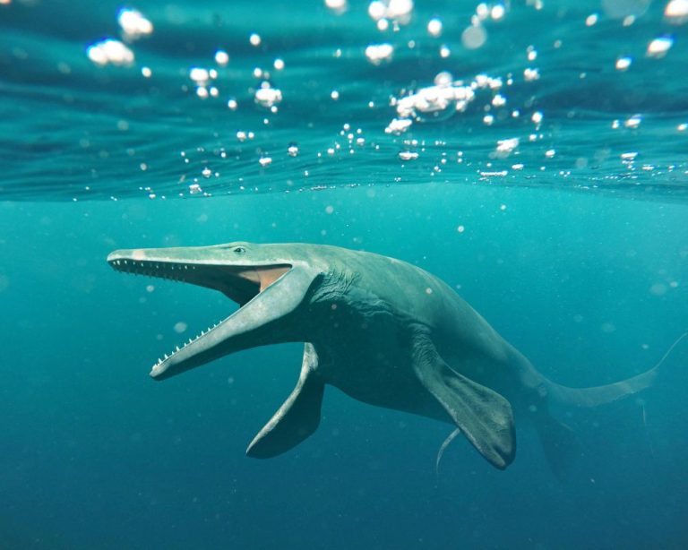 Liopleurodon Vs. Mosasaurus: Underwater Predators